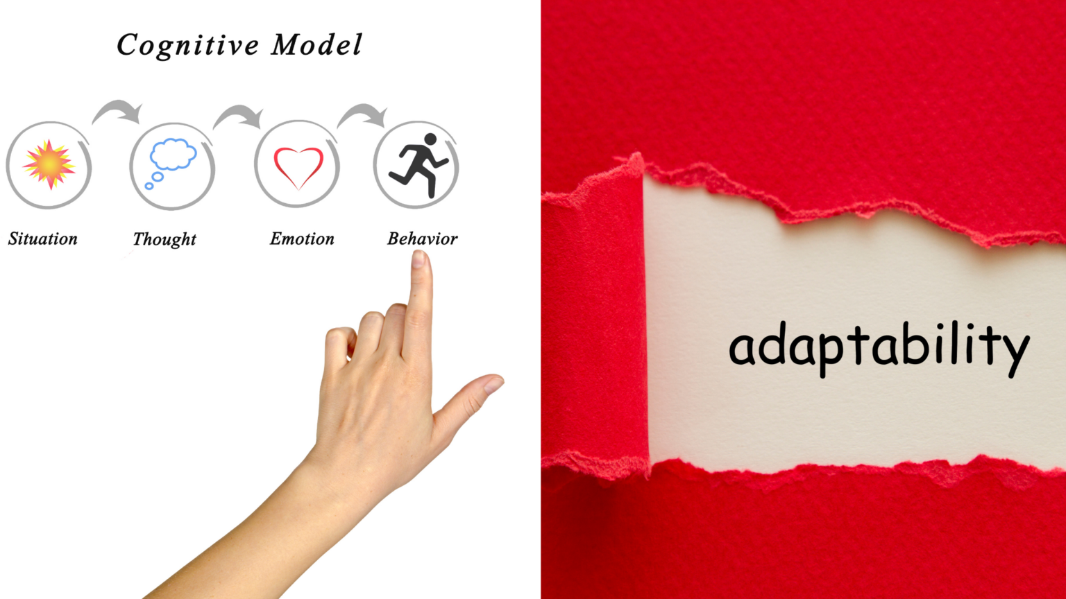 Understanding And Implementing Positive Behaviour Support Proactive